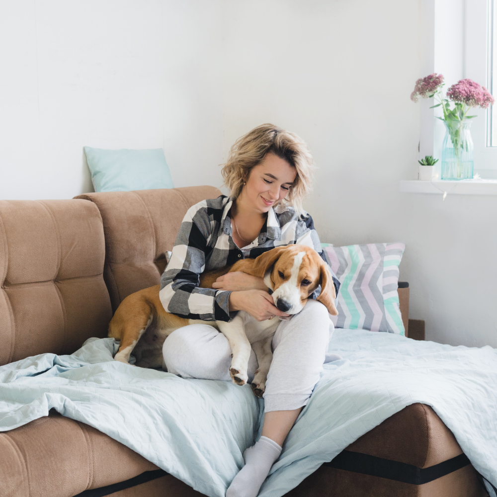 Pets – Pat Little Shop